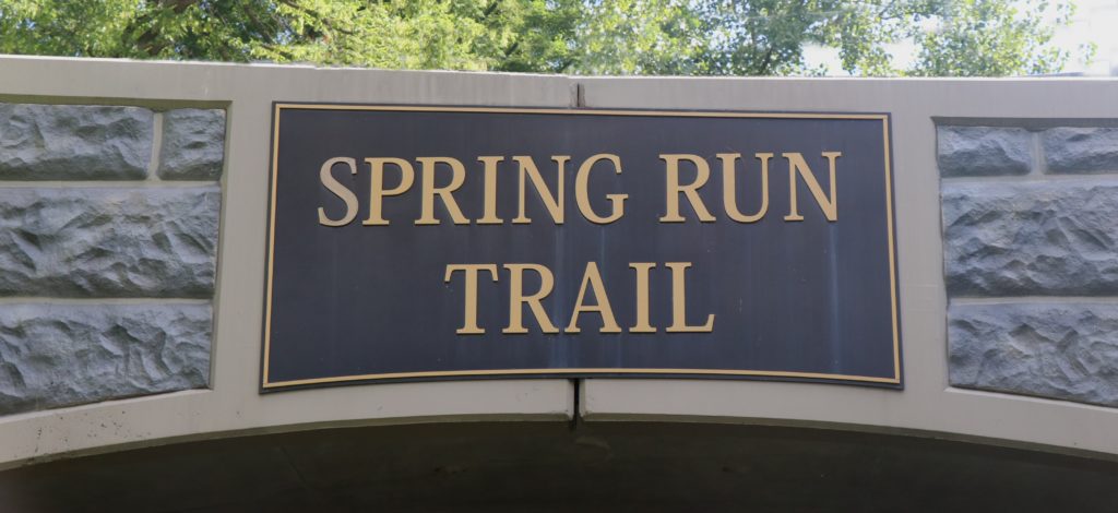 Spring Run Trail – Southern Adirondack Audubon Society